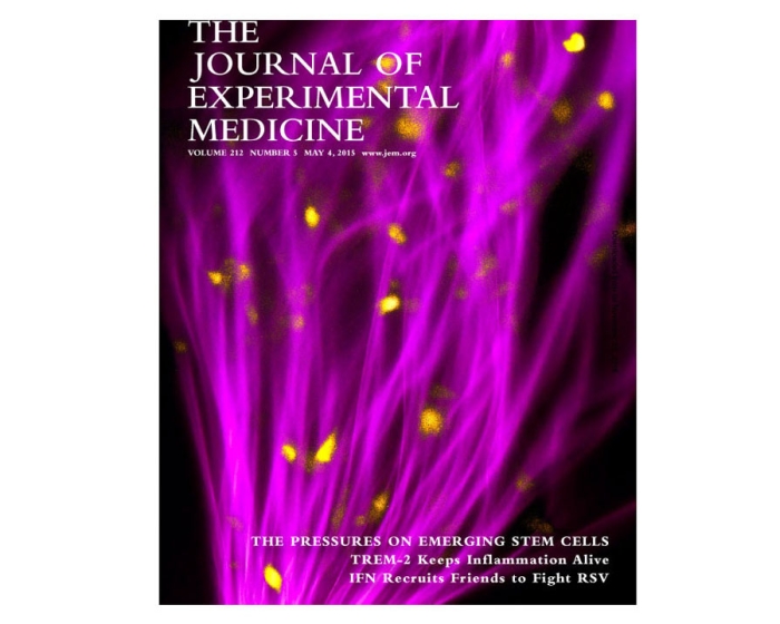Image-seq: spatially resolved single-cell sequencing guided by in situ ...